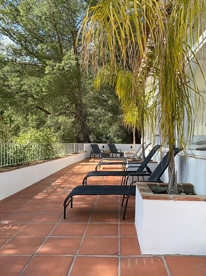 Alle informatie over Casa Roots